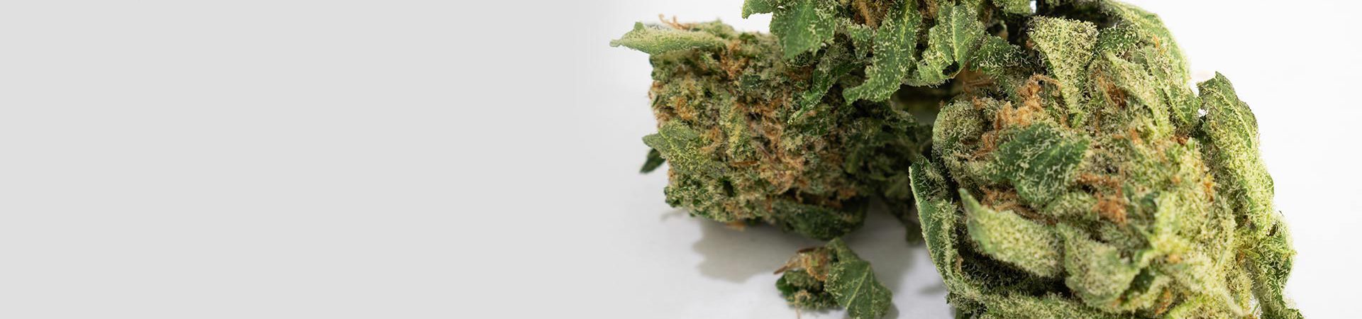 What Is Kush Marijuana... And Where Does it Come From?