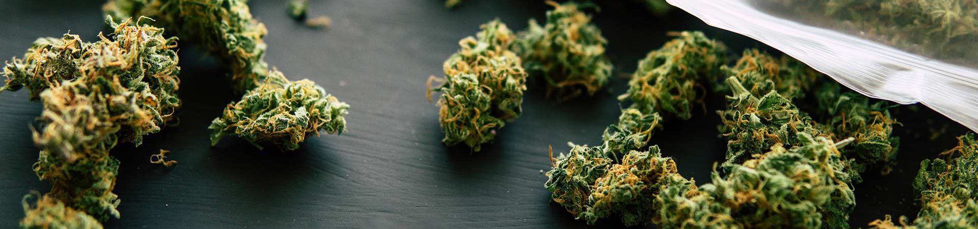 What is Mids? [Beginner Weed Terminology 101...]