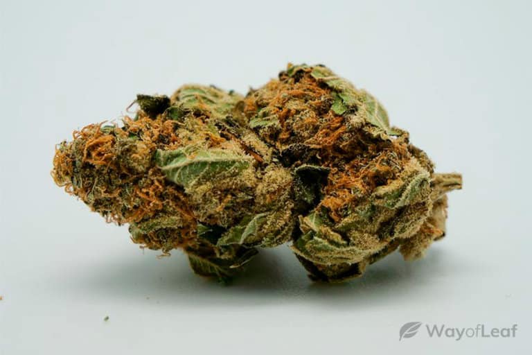 What Is Kush Marijuana... And Where Does it Come From?