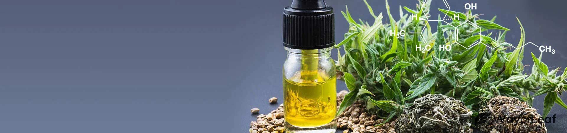 5 Best High CBD / Low THC Marijuana Strains [Our Top Picks]