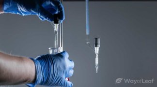 What Is Butane Hash Oil? [Explained for the Rookie]