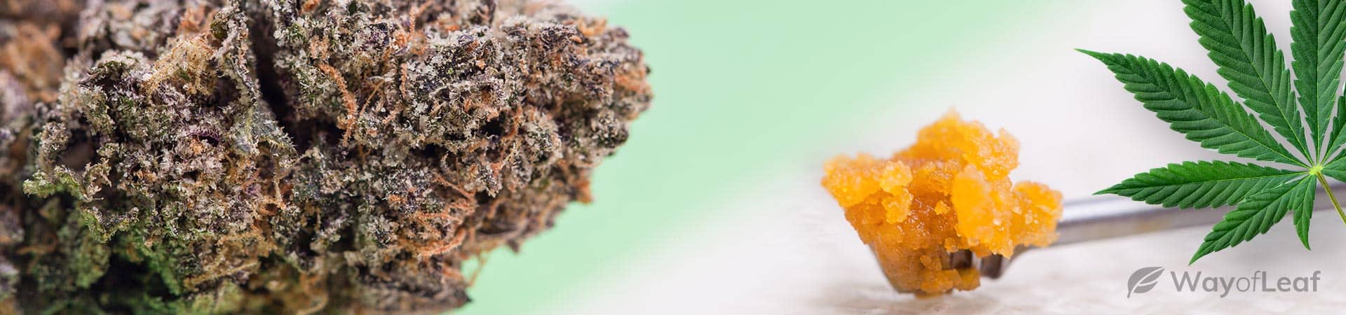 Ice Wax Dabs: What Are They and How Do You Smoke Them?