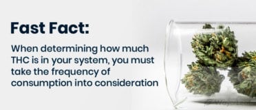 THC Detox: The Definitive Guide [Tips, Facts, Methods]