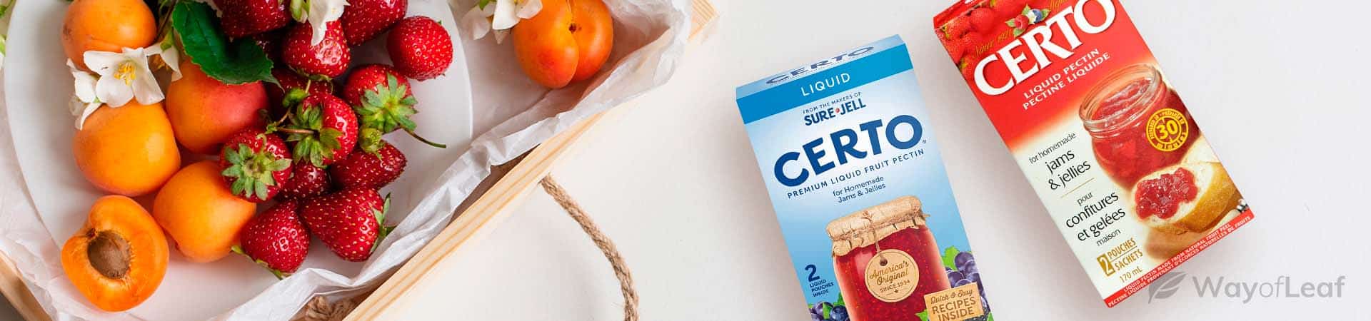 Certo Detox Drug Test (Full Review)