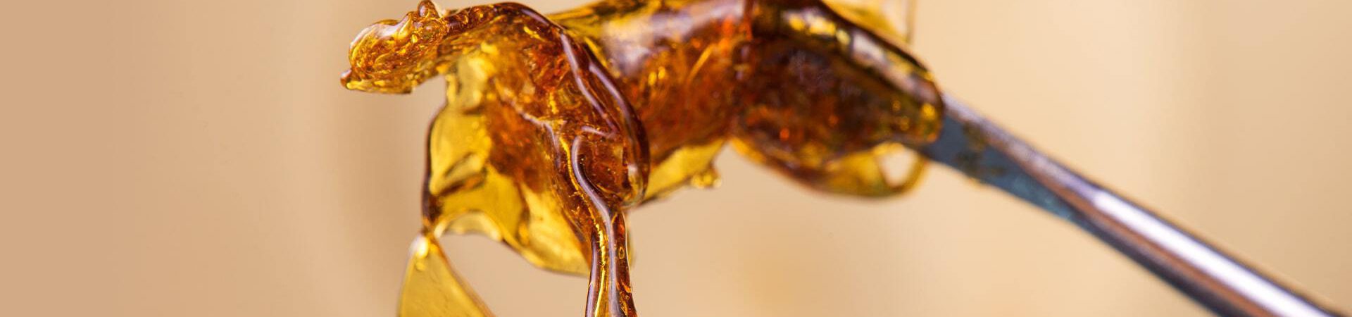 What is 710 and What Does it Have to Do With Weed?