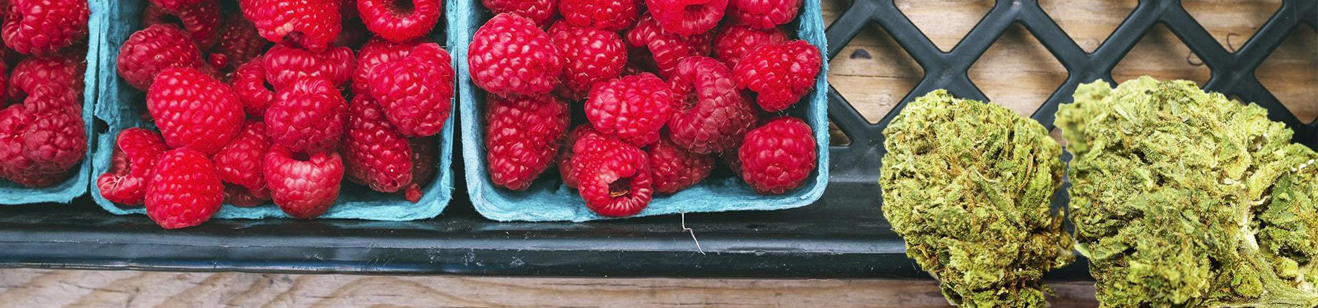 Raspberry Cough Strain - Uplifting and Productive