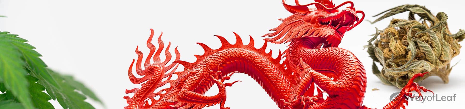 Red Dragon Strain - Exotic Hybrid with Uplifting Effects