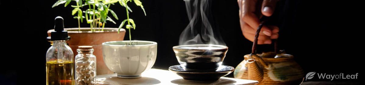 How to Use Low-Stress Training (LST) for Cannabis Plants